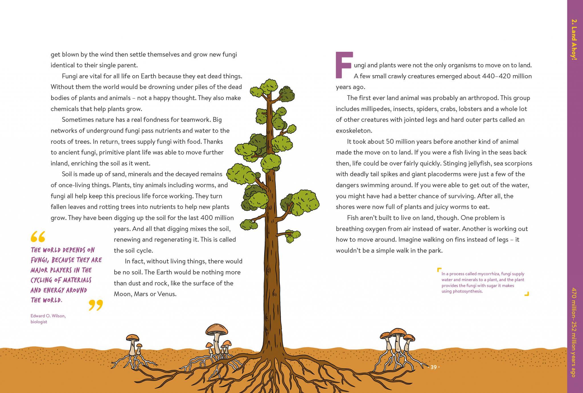 Absolutely Everything by Christopher Lloyd - our review