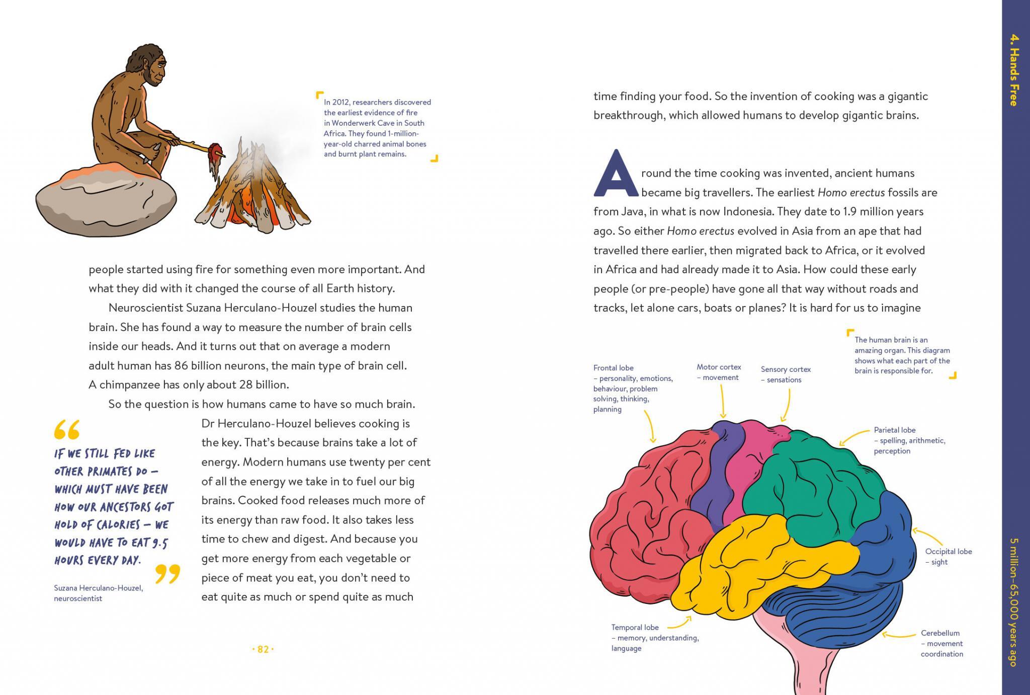 Absolutely Everything by Christopher Lloyd - our review
