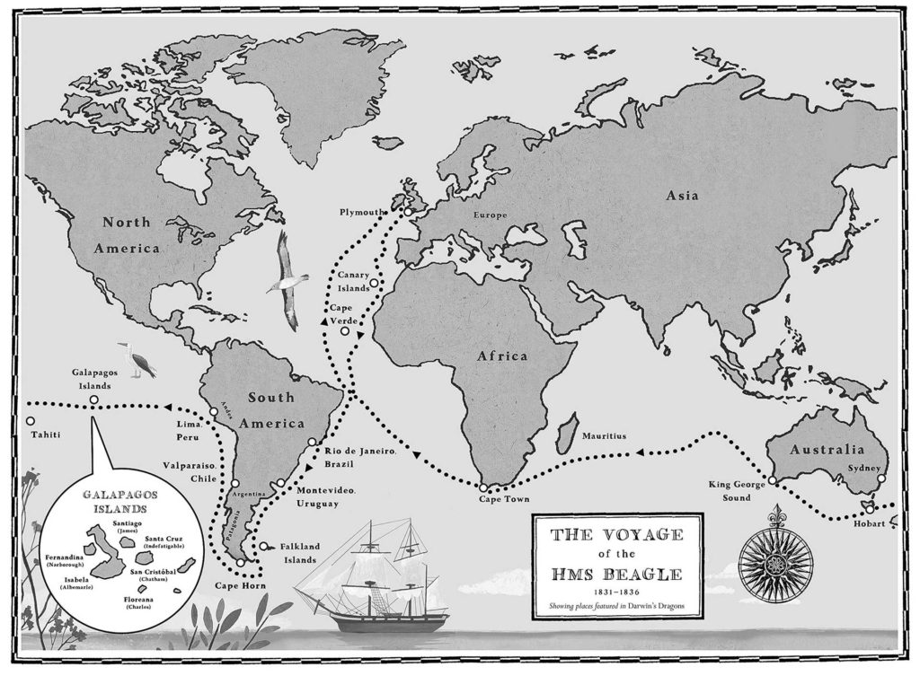 Darwin’s Dragons by Lindsay Galvin | School Reading List Review