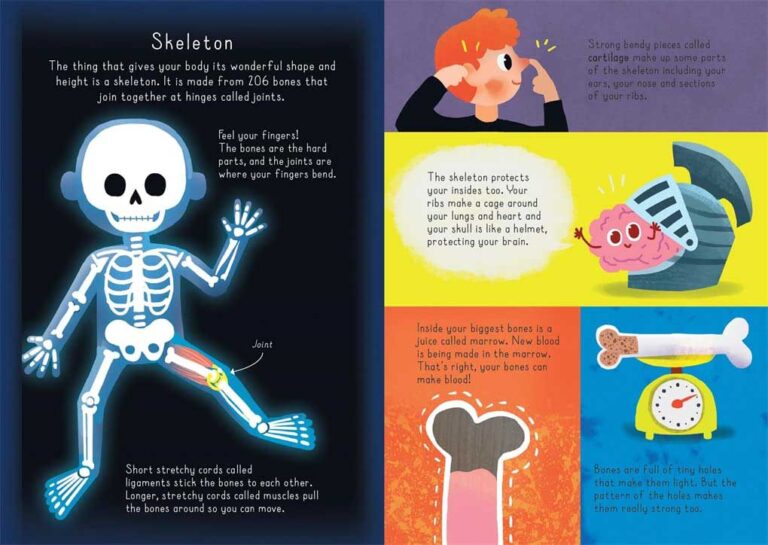 Tell me about the Human Body & Plants By Emily Dodd