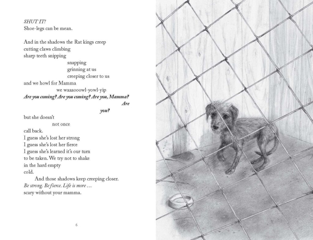 The Way of Dog by Zana Fraillon, illustrated by Sean Buckingham