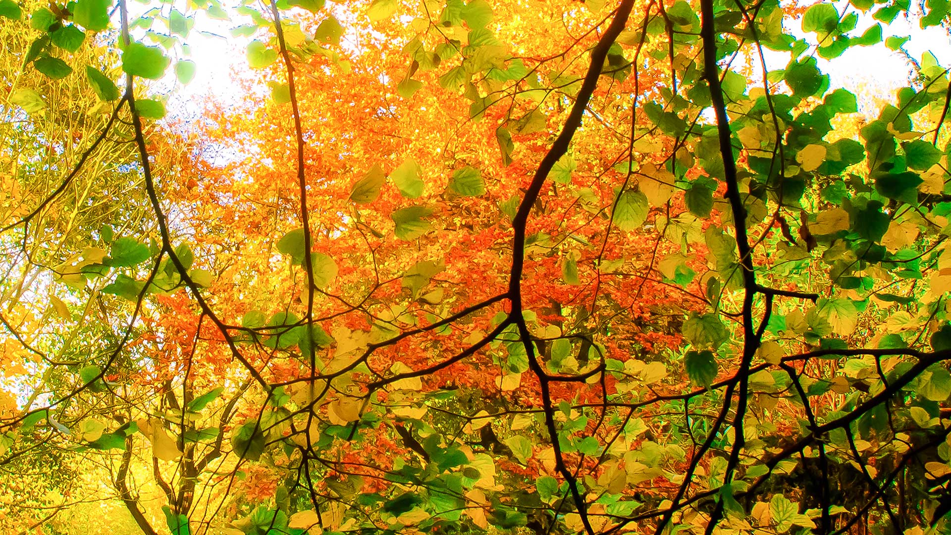 Our picks of the best children's books coming out in Autumn 2023