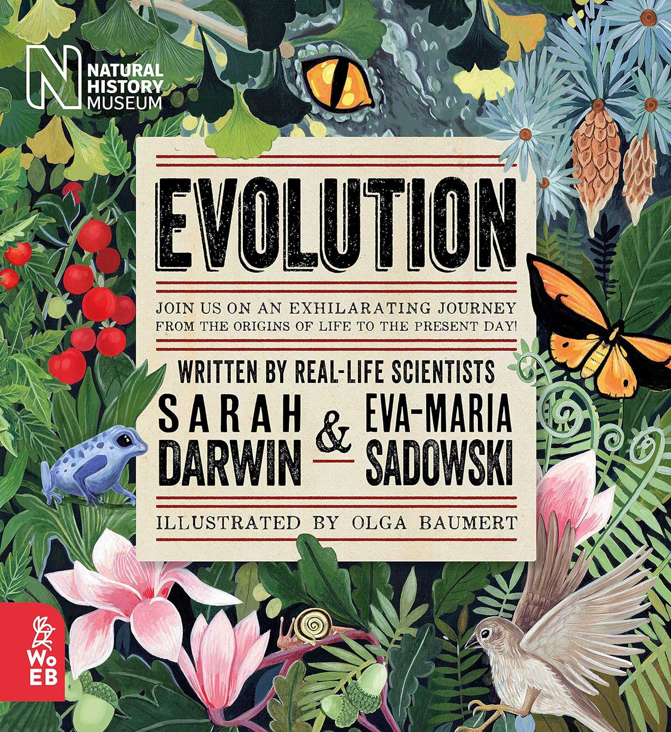 Evolution by Sarah Darwin and Eva-Maria Sadowski