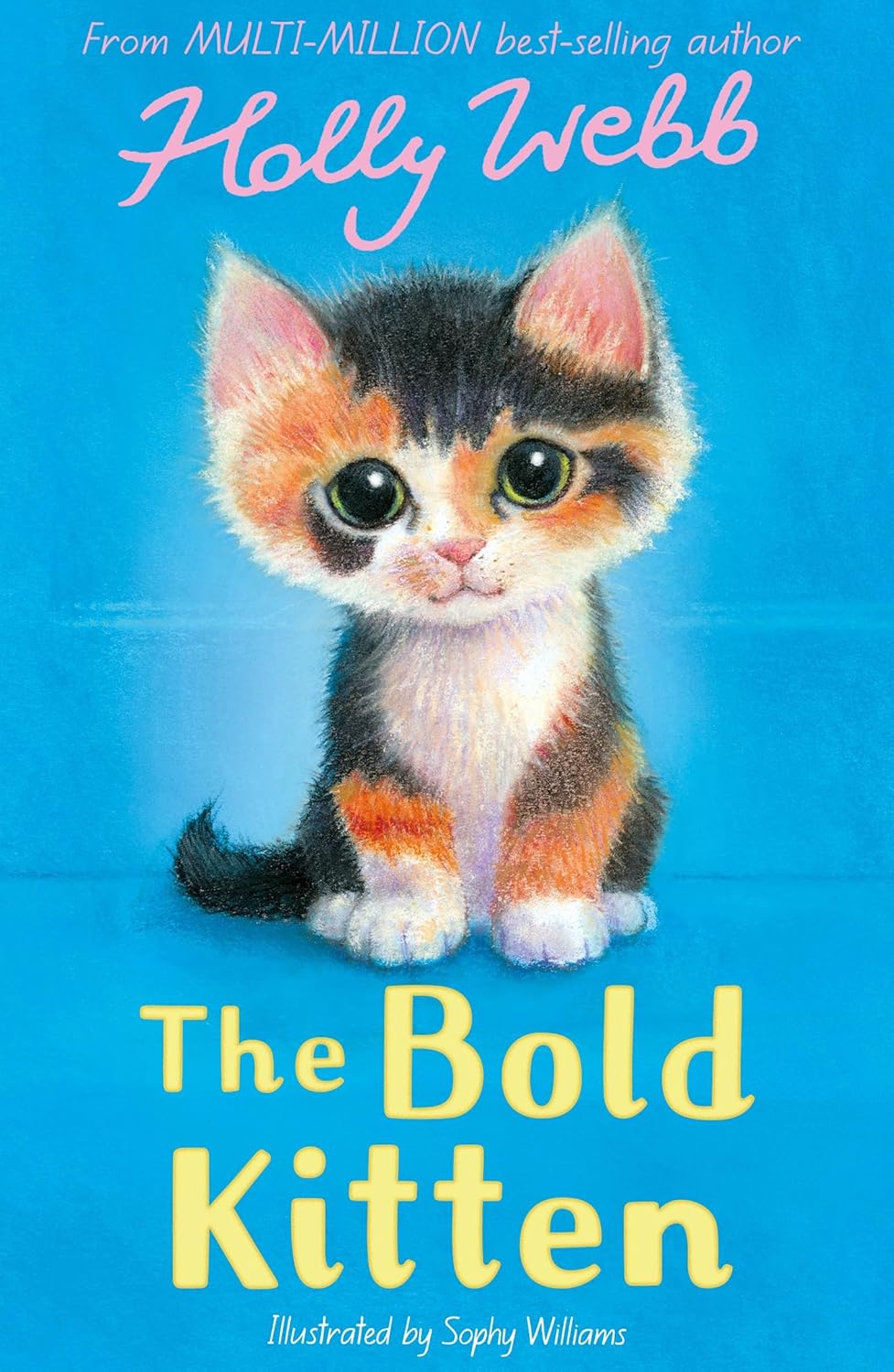 The Bold Kitten by Holly Webb, illustrated by Sophy Williams