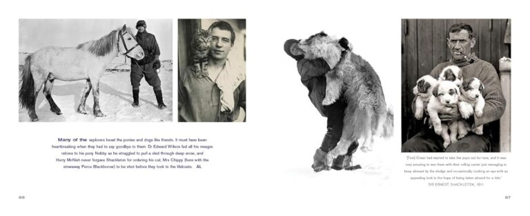Into The Ice by Alison Lester & Coral Tulloch